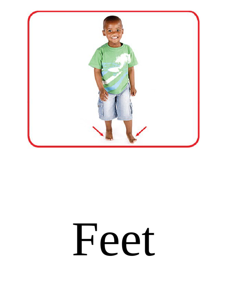 Flashcards Big Fun 1 | PDF