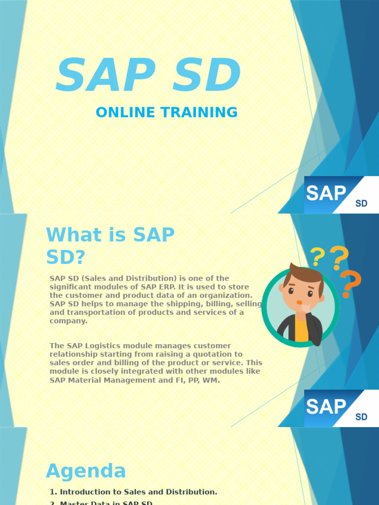 SAP SD Online Training | PDF