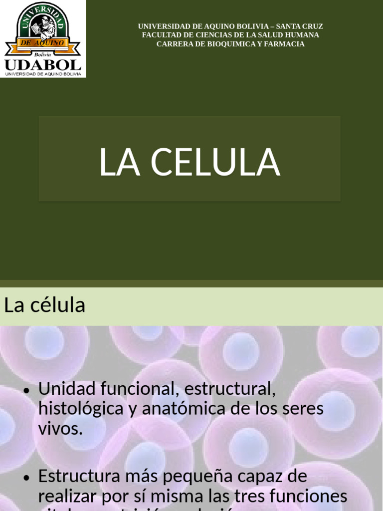 TEMA Nº 1 - LA CELULA | PDF