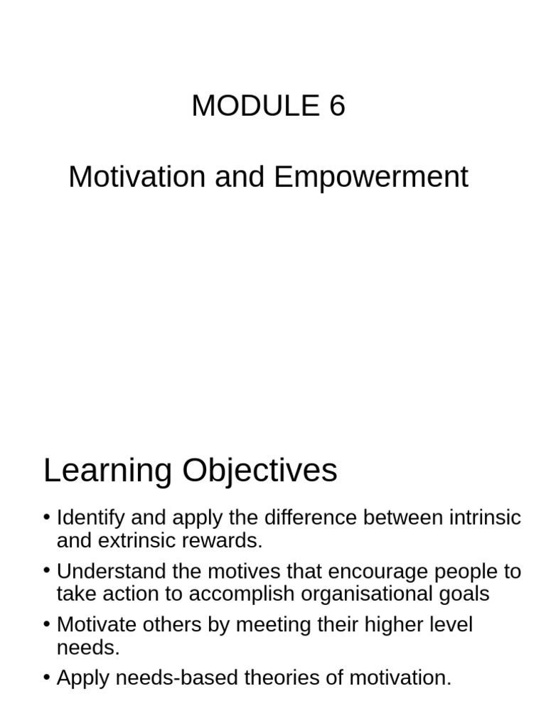 Motivation and Empowerment Strategies | PDF | Motivation | Career & Growth