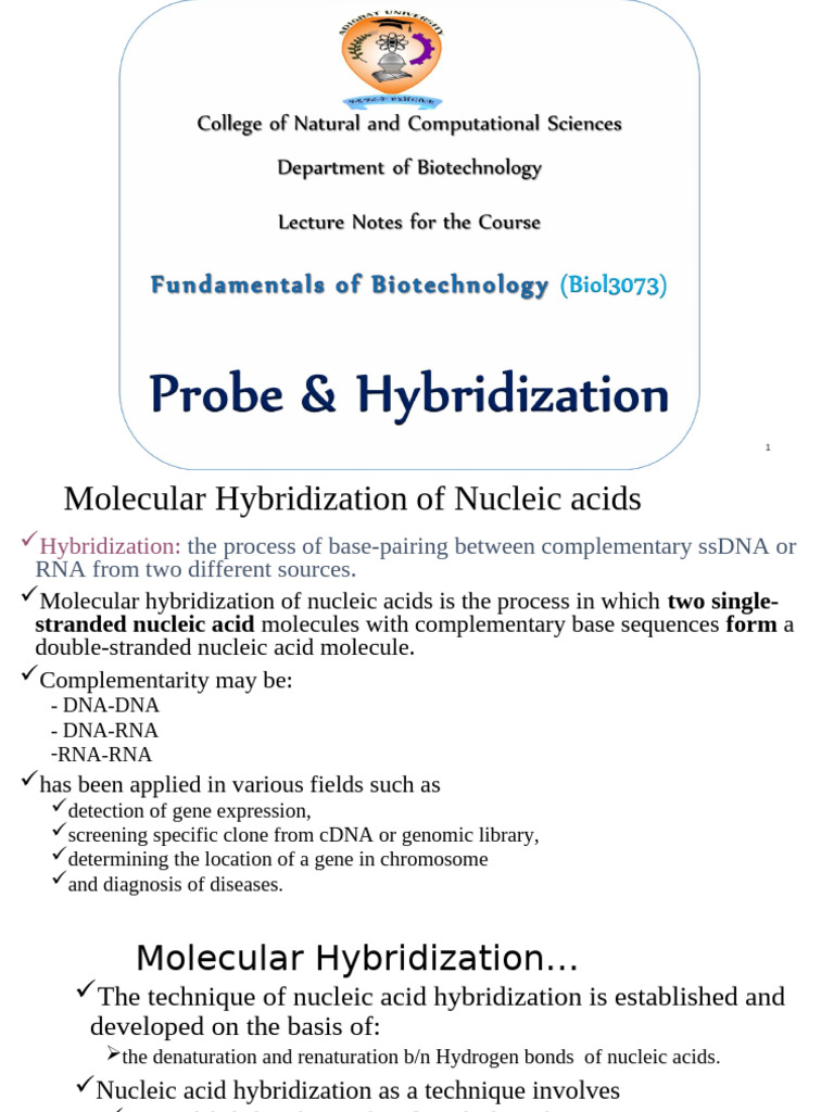 Chapter-2 Hybridization of N (Autosaved) | PDF