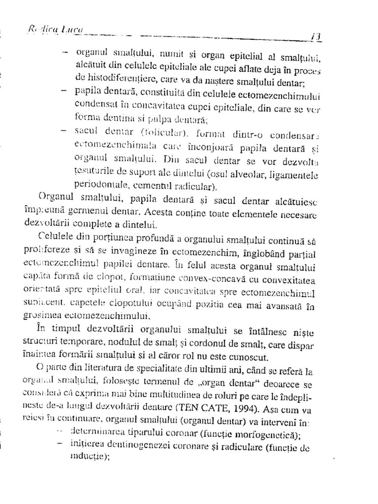 Rodica Luca I3 | PDF