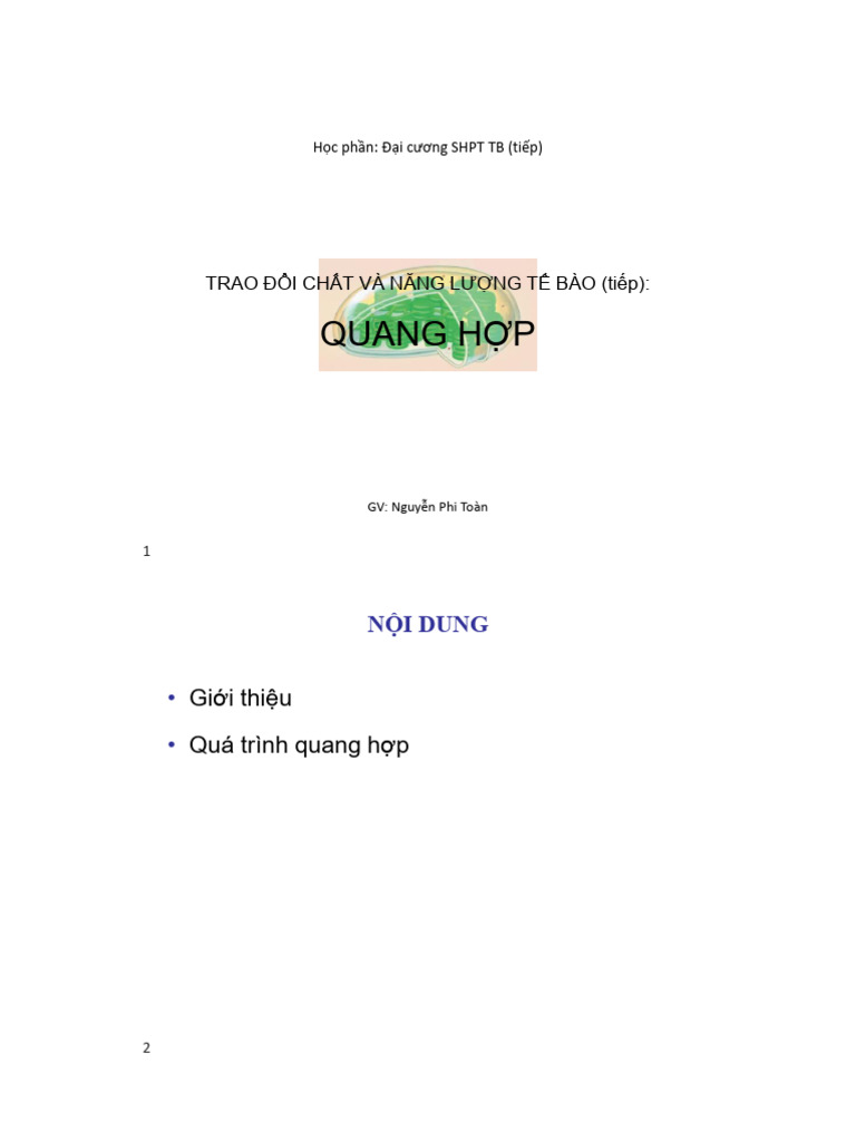 3.2. Quang H P | PDF