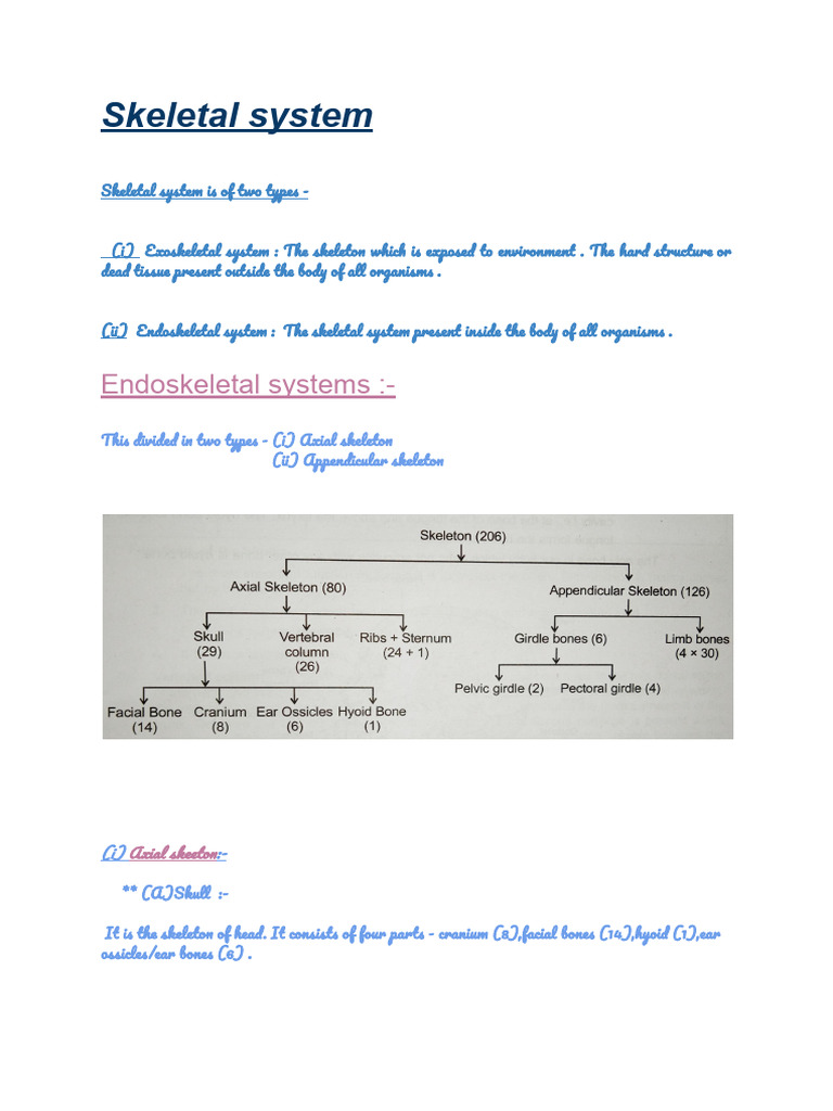 Skeletal System 1 | PDF