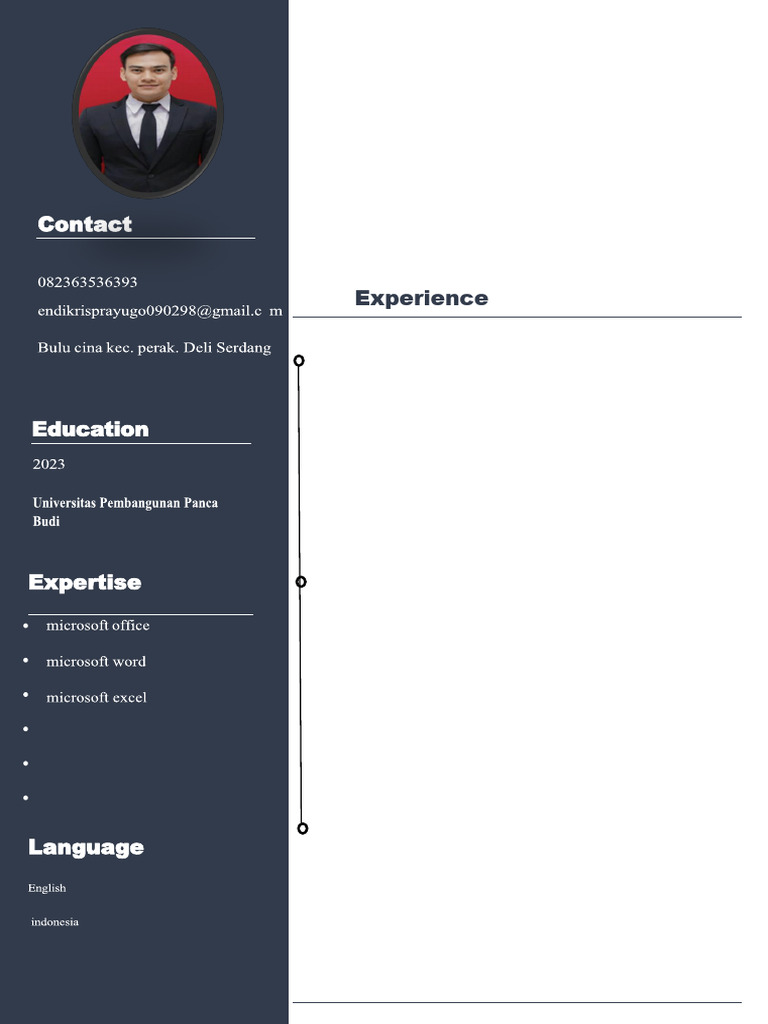 CV Endi Troy-4 | PDF