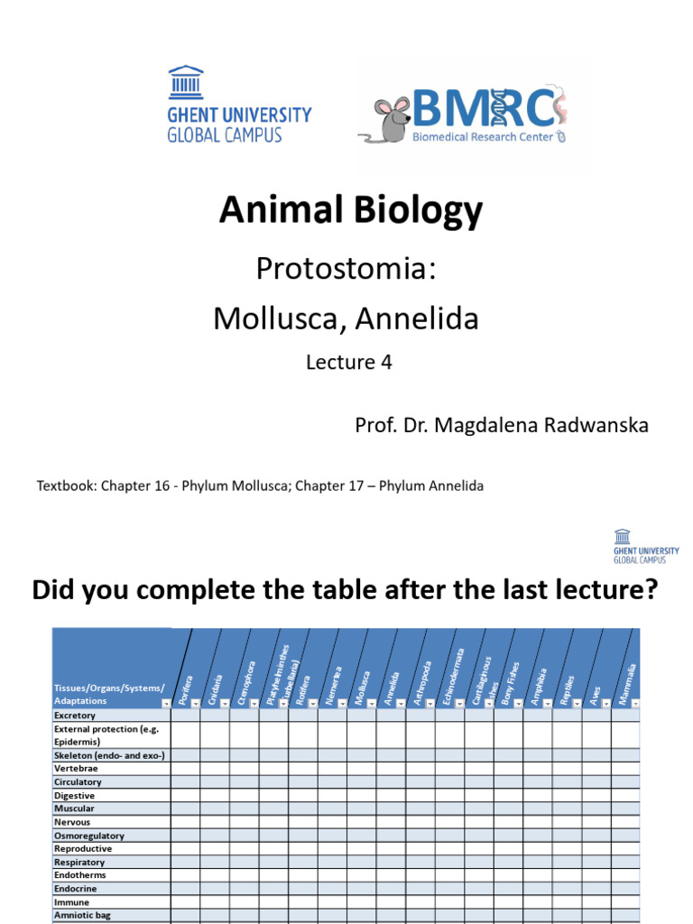 Lecture4 2024 Final | PDF