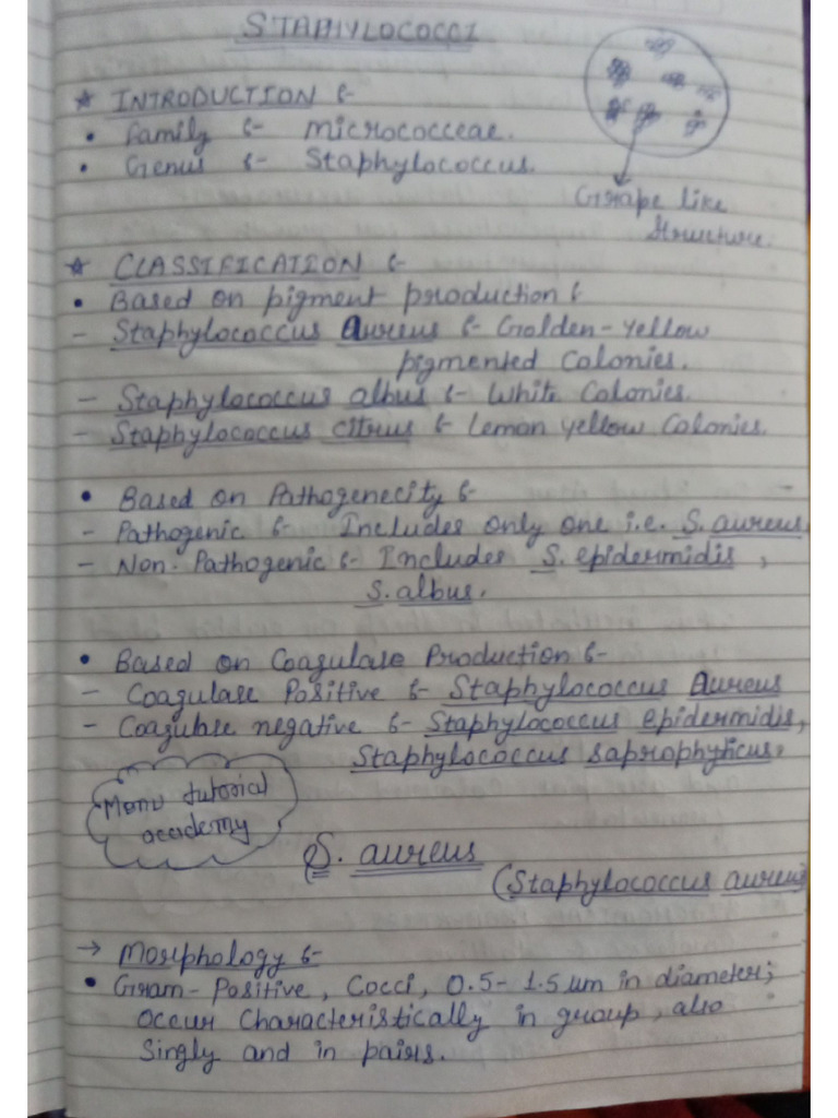 Staphylococcus Notes | PDF