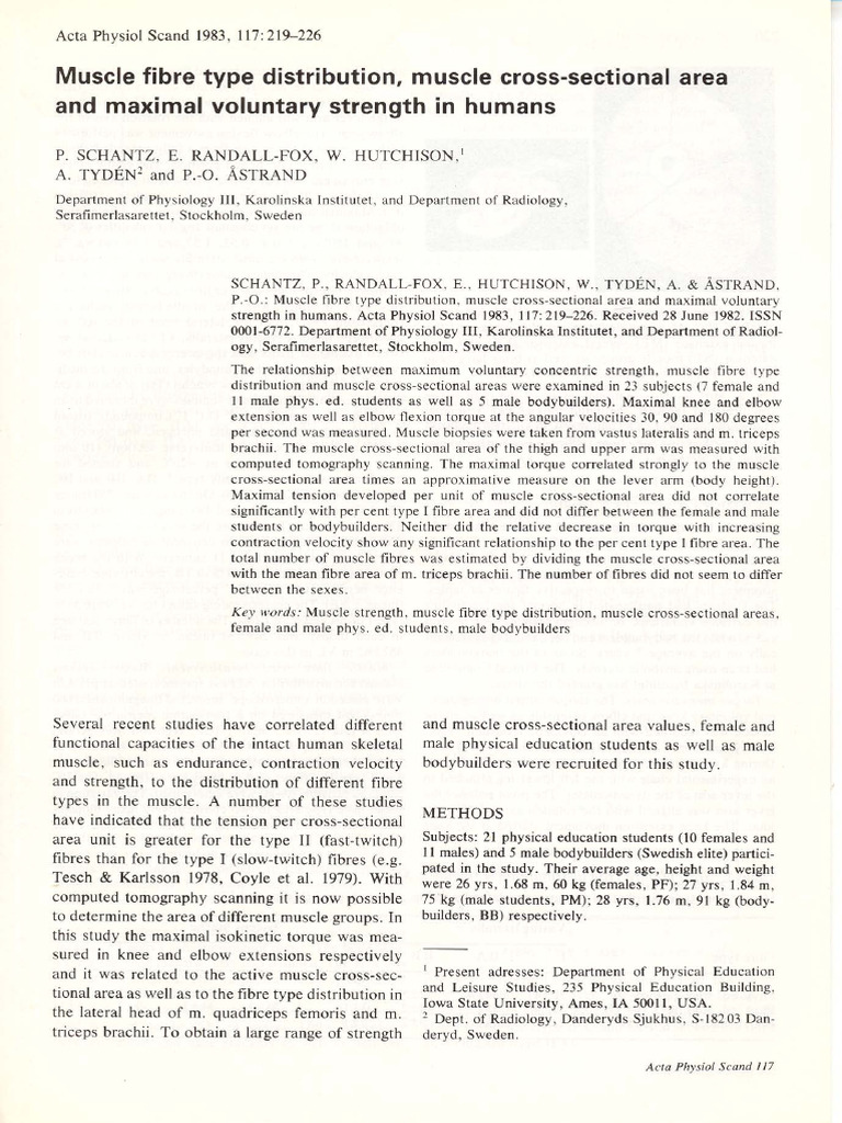 Muscle Fibre Type Distribution, Muscle Cross-Sectional Area and Maximal ...