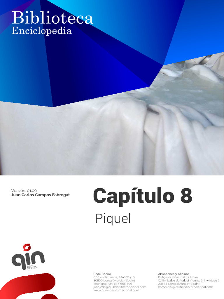 Capitulo 08 Piquel | PDF