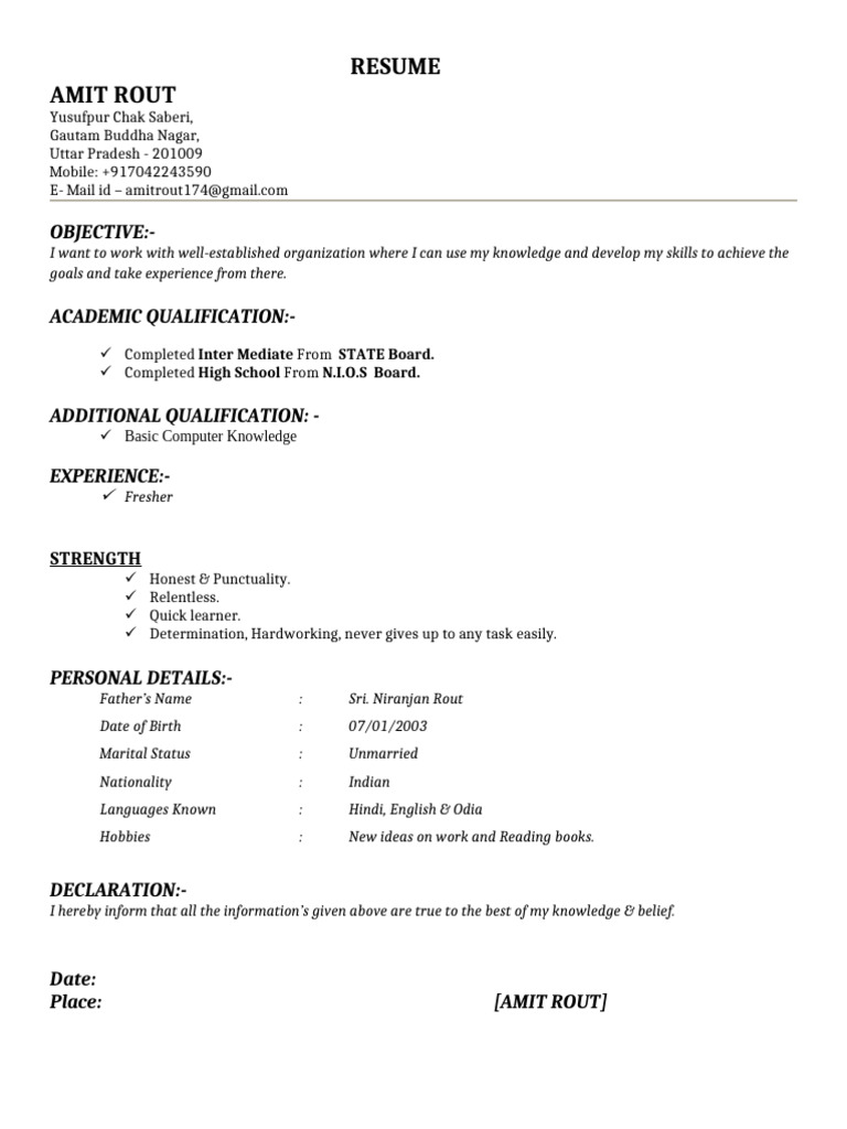 Amit Resume | PDF