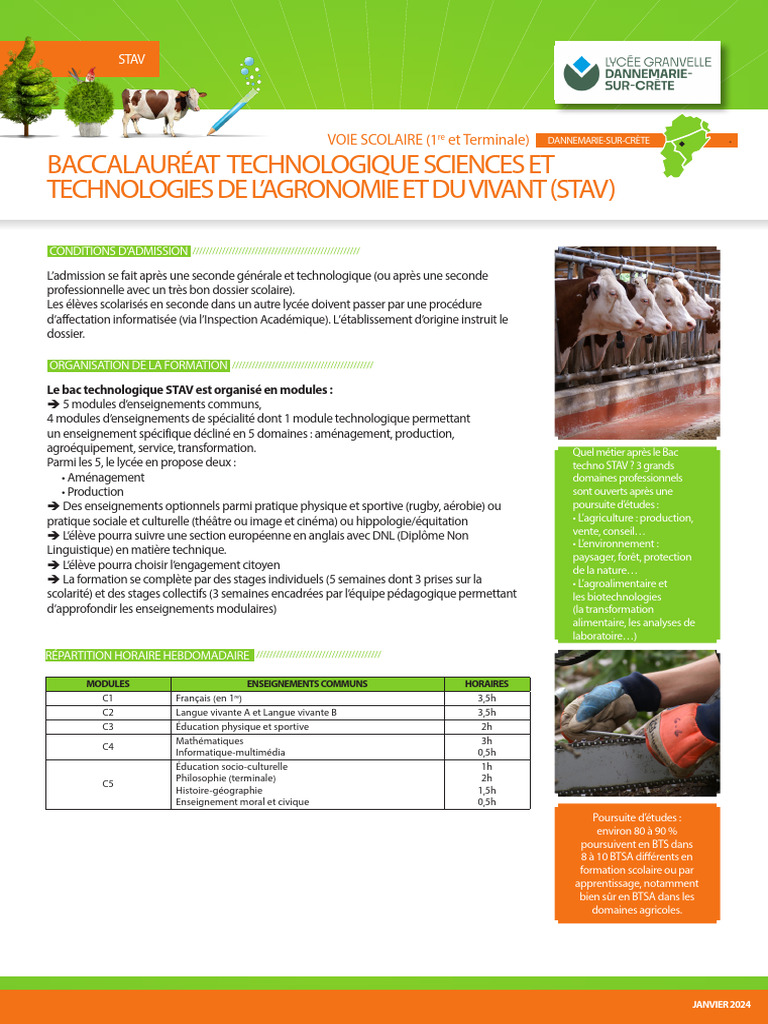 Bac Technologique STAV | PDF
