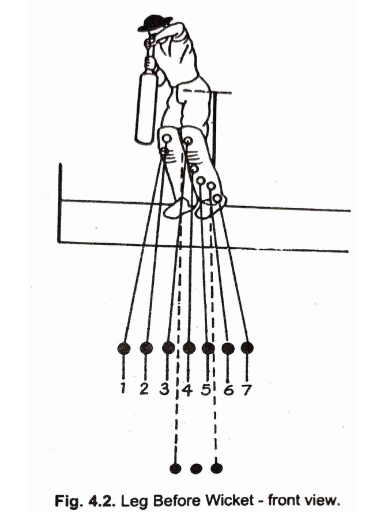 Cricket ? Diagrams 1 | PDF
