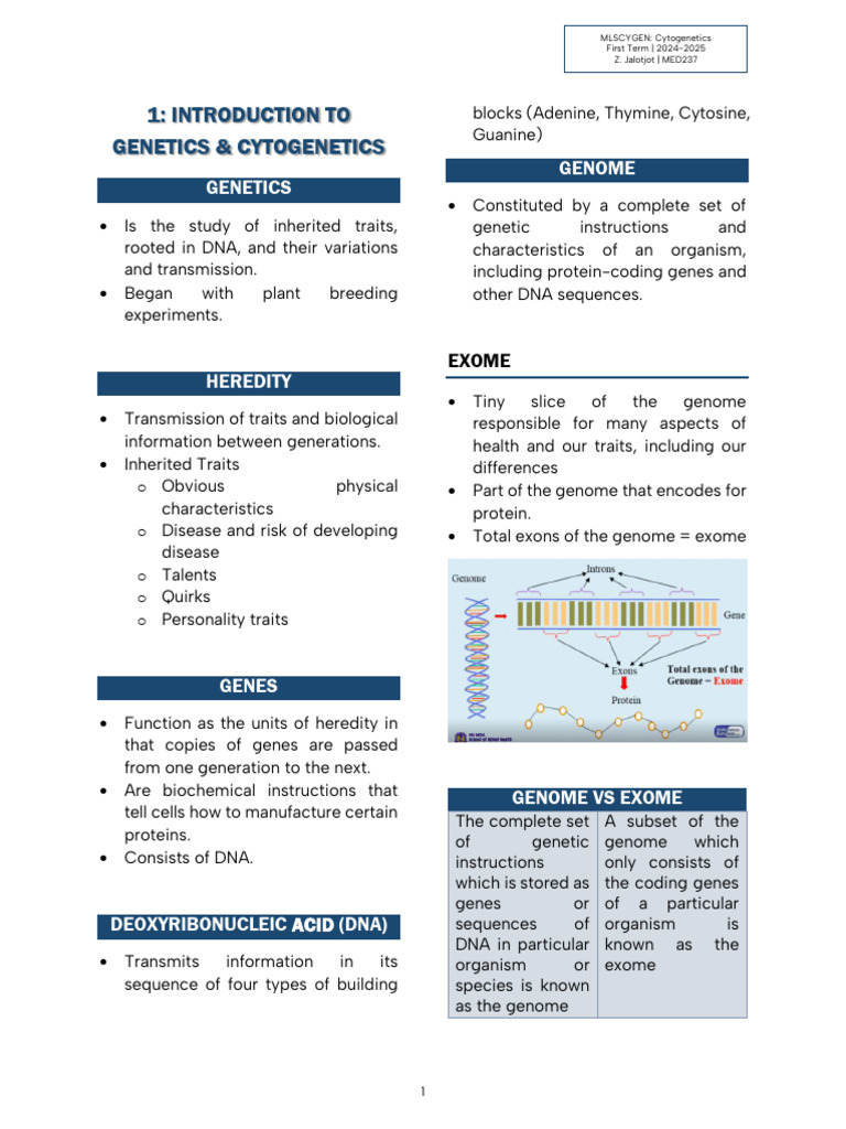 TRANSES Cytogenetics | PDF