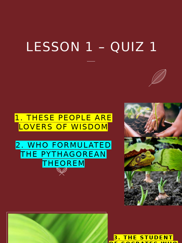 LESSON 1 – QUIZ 1 | PDF
