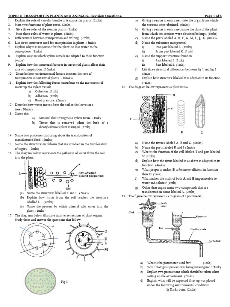 BIO F2 REVISION | PDF