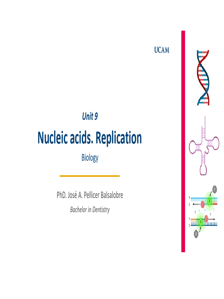 Unit 9. Nucleic Acids. Replication | PDF
