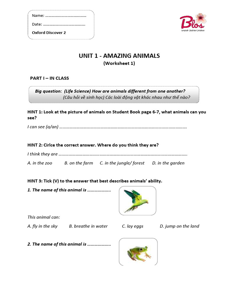 Amazing Animals Class 5 Worksheet | PDF | Zoology