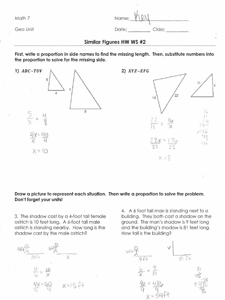 Similar Figures Worksheet 2 Answer Key | PDF