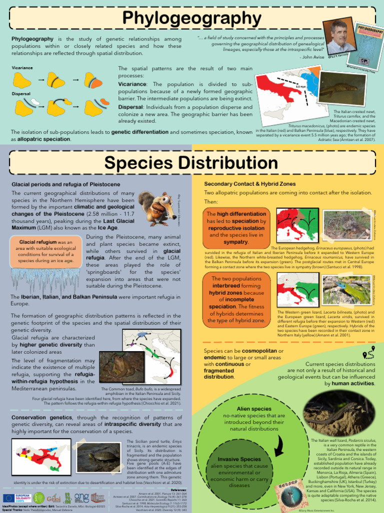 Phylogeography & Species Distribution | PDF | Species | Evolutionary ...