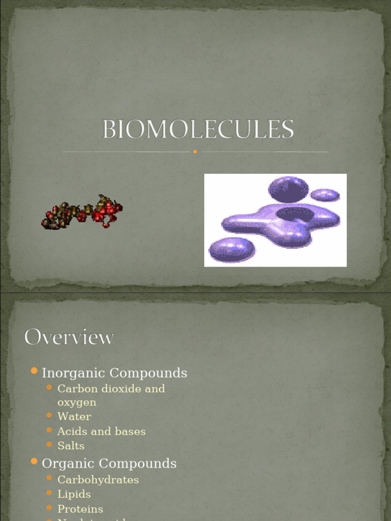 Biomolecules | PDF
