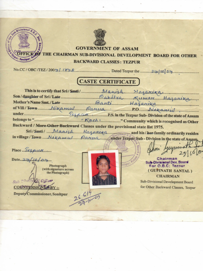 Caste Certificate | PDF