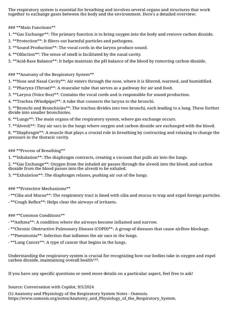 Respiratory System | PDF | Respiratory Tract | Respiratory System