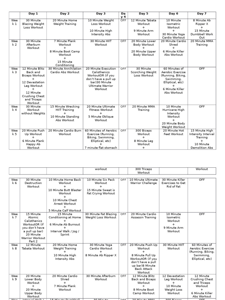 Hasfit Hero 90 Day High Intensity Exercise Program PDF Free | PDF