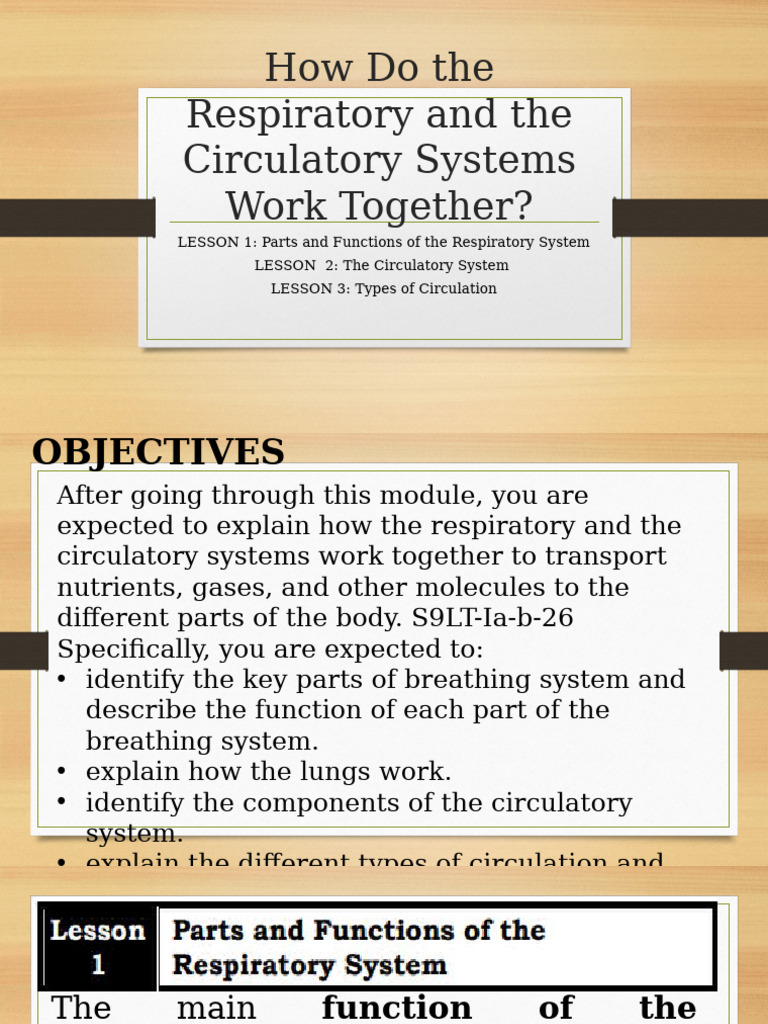 How Do The Respiratory and The Circulatory Systems Work Together? | PDF