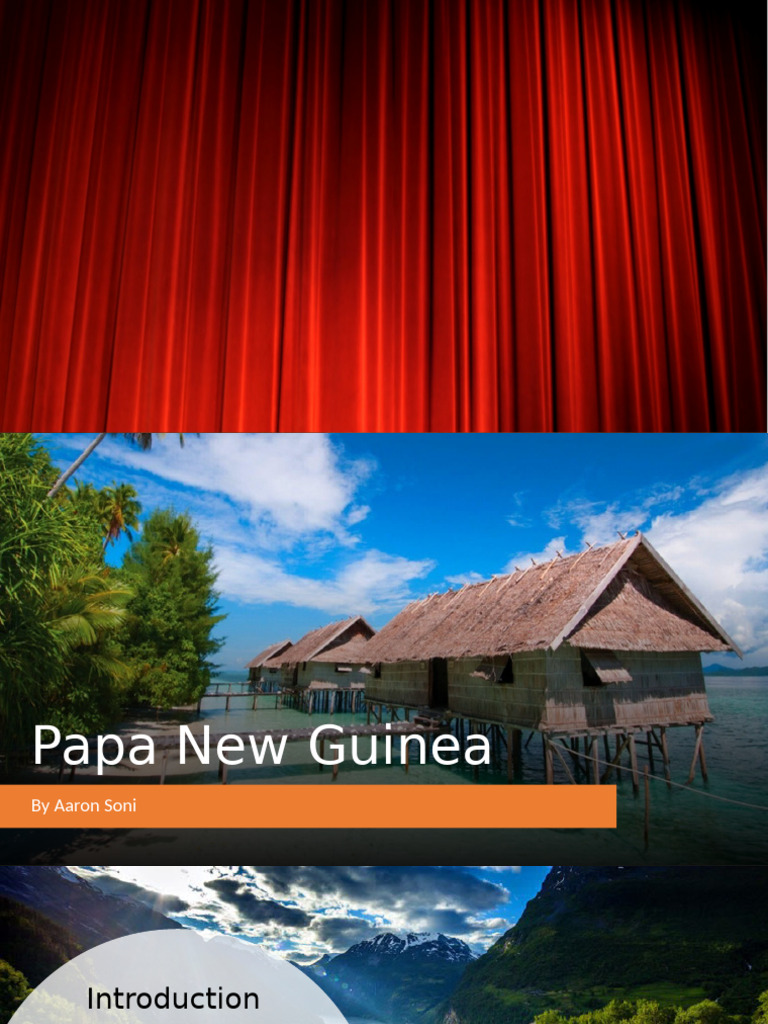 Aaron's Papa New Guinea Project | PDF