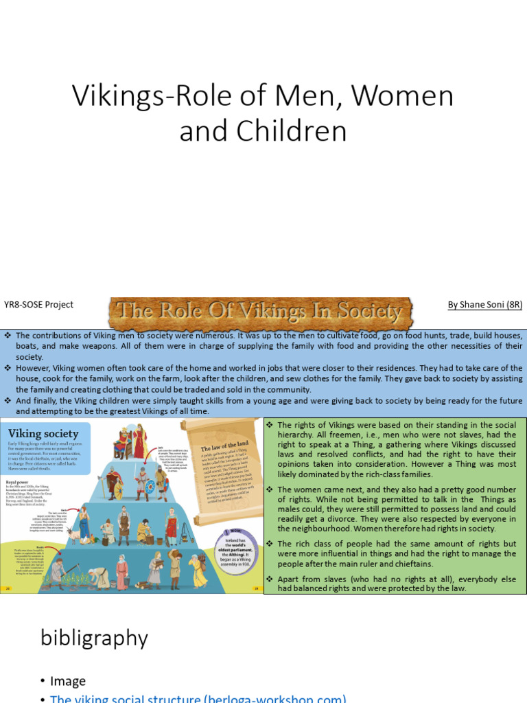 Viking Project | PDF