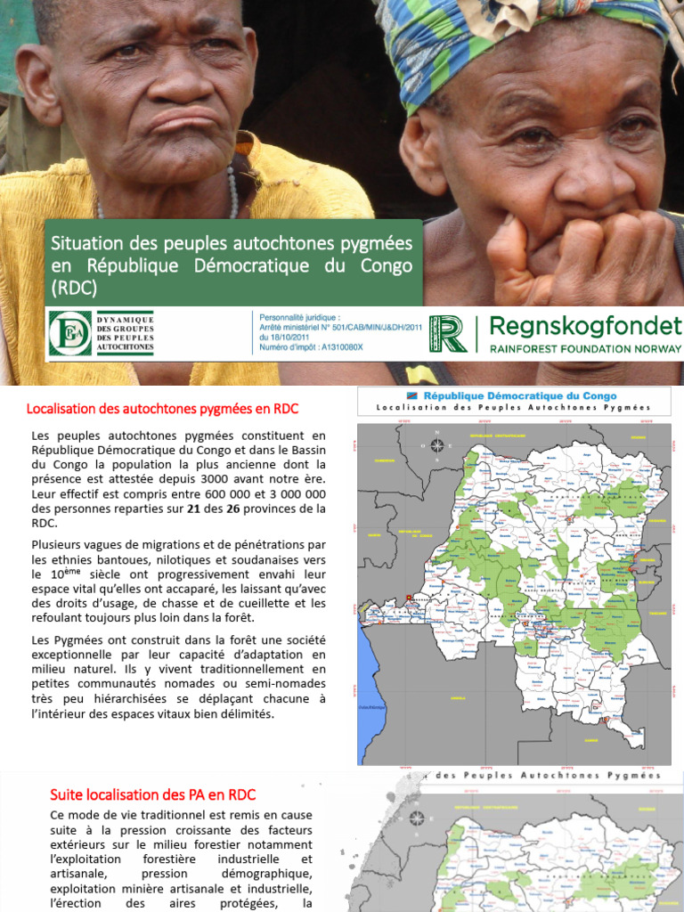 Présentation de La Situation Actuelle Des Peuples Autochtones Pygmées en RDC 1 | PDF