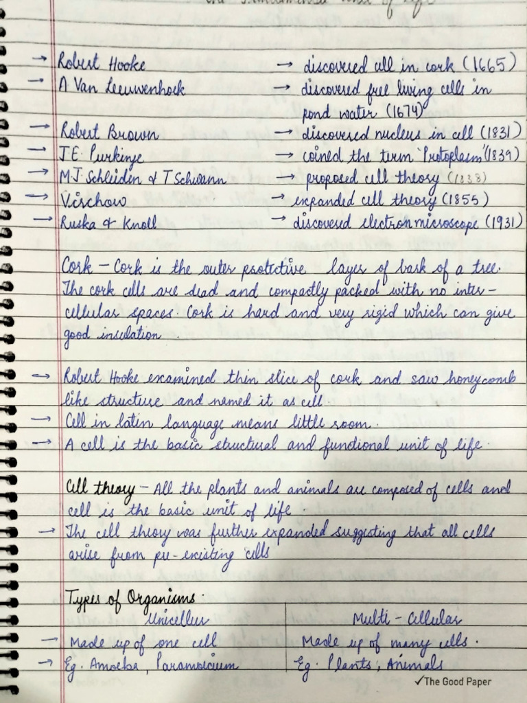 Handwritten Notes Cell 9 | PDF