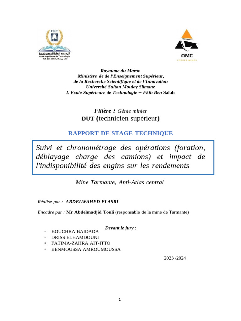 Rapport Pfe 2024 GM | PDF