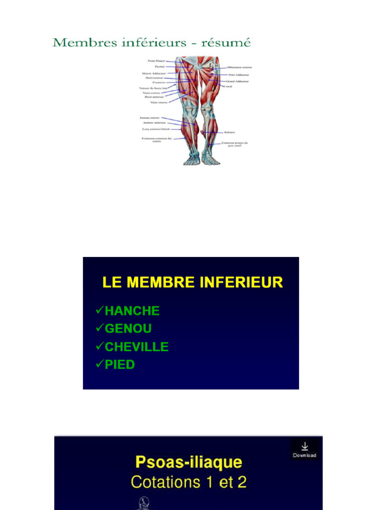 Testing Membre Inf | PDF