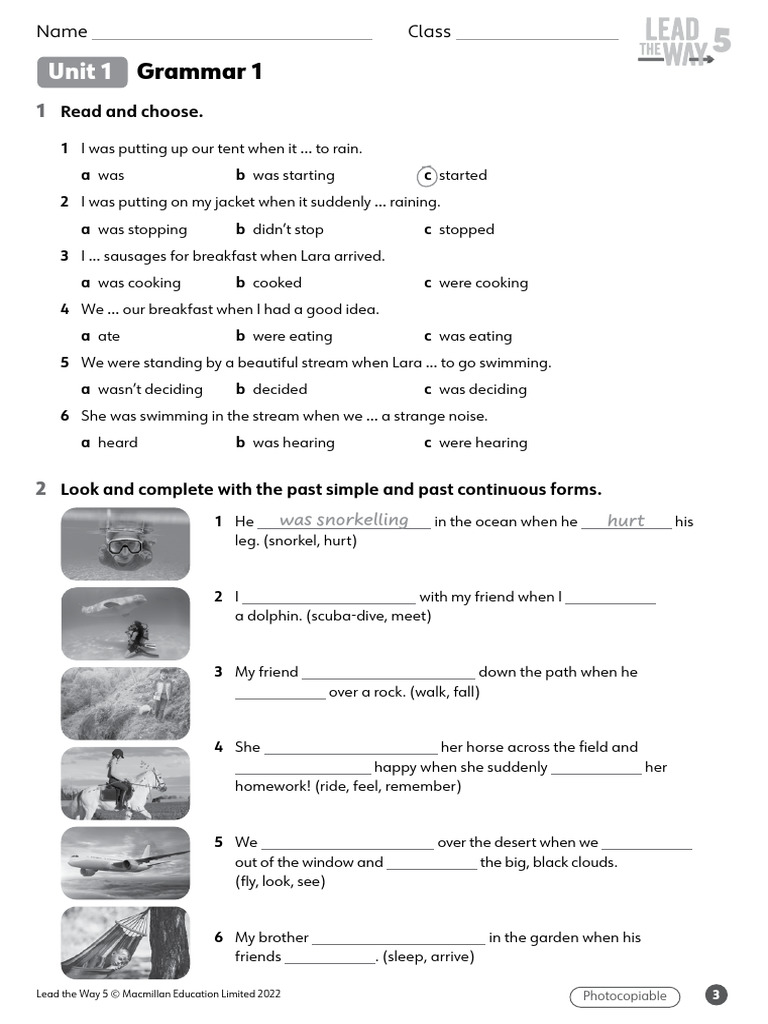 LTW5 Worksheets Grammar Complete PDF | PDF