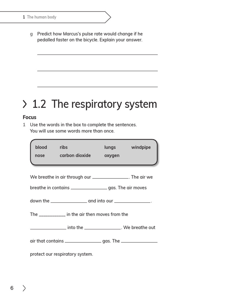 Cambridge Primary Science Workbook 6, Second Edition-11-15 | PDF