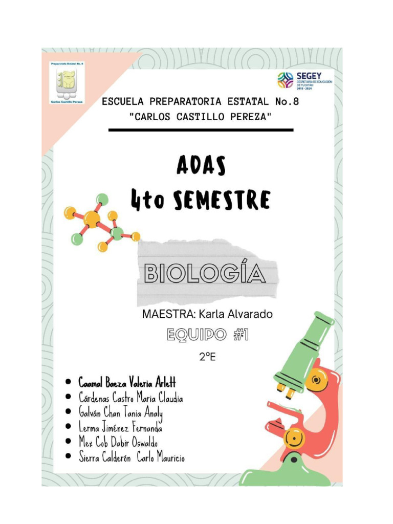 Ada 1 - Equipo # - Valeria Arlett Caamal Baeza | PDF