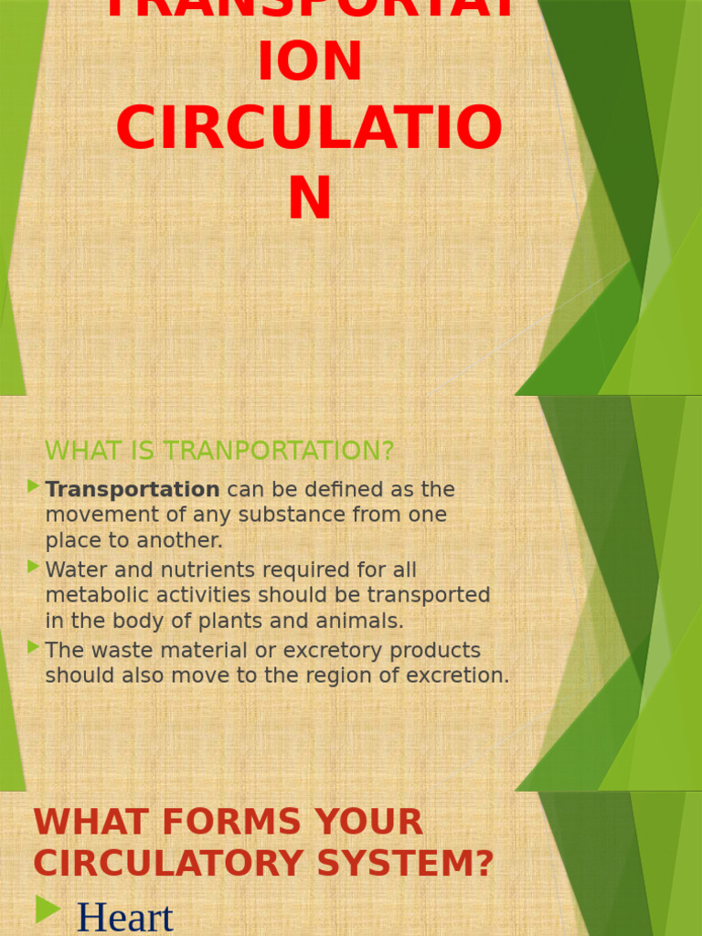 Transportation 1 | PDF