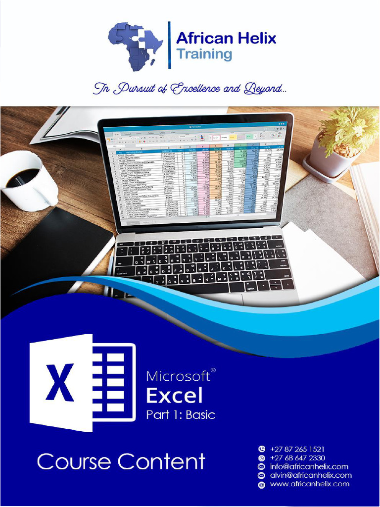 MS Excel Basic | PDF