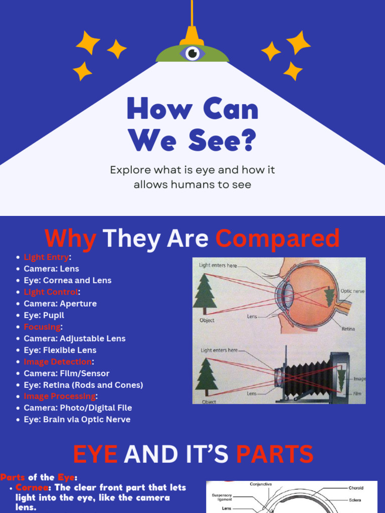 Explore What Is Eye and How It Allows Humans To See | PDF | Eye | Cataract