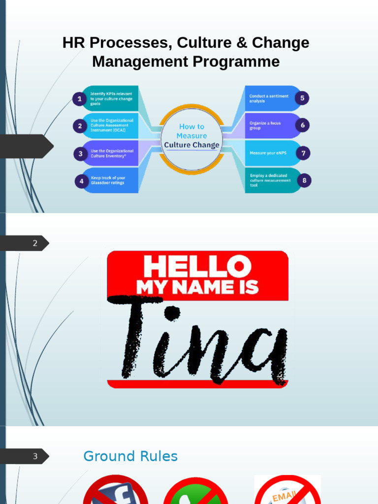 HR Processes, Culture & Change Management Programme | PDF