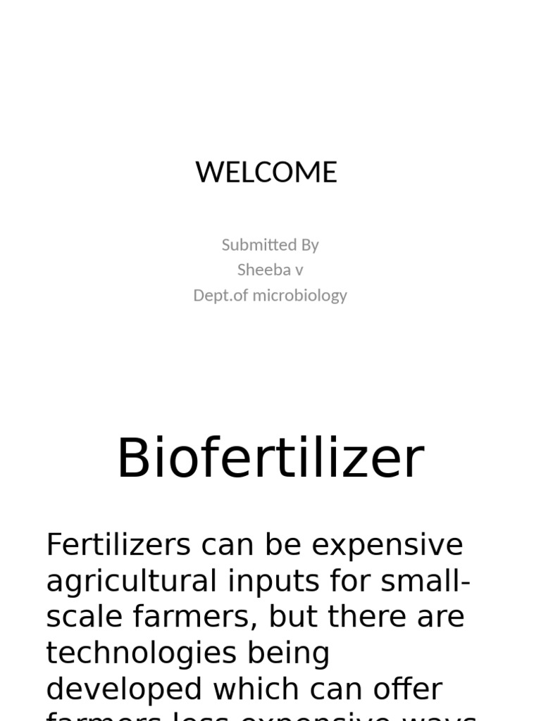 Cyanobacteria As Biofertilizer | PDF
