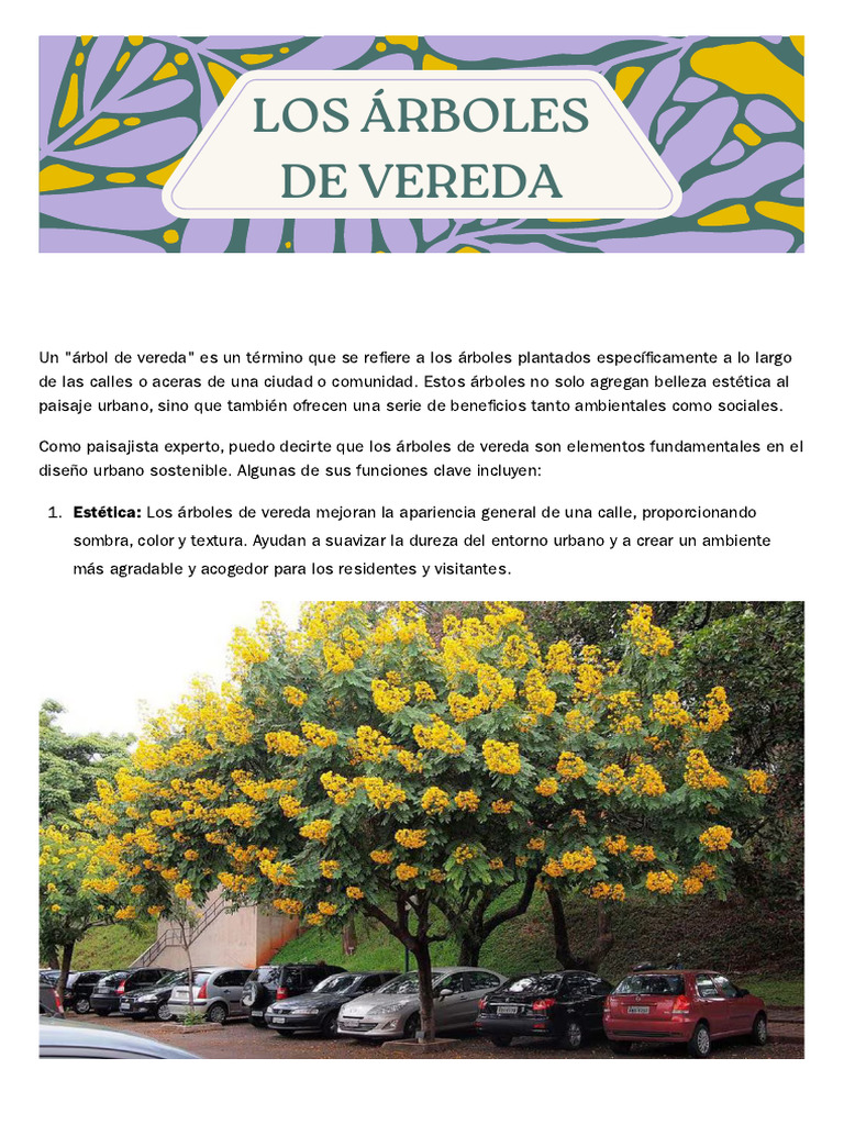 Árboles DE VEREDA | PDF
