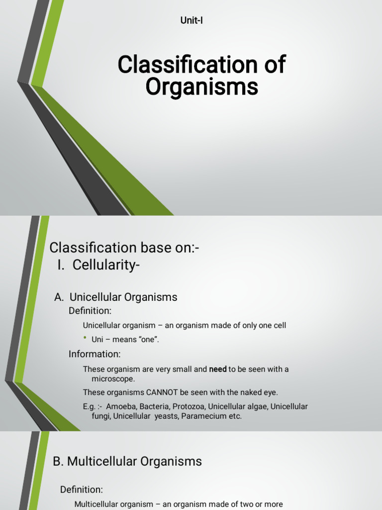 Classification of Organisms | PDF