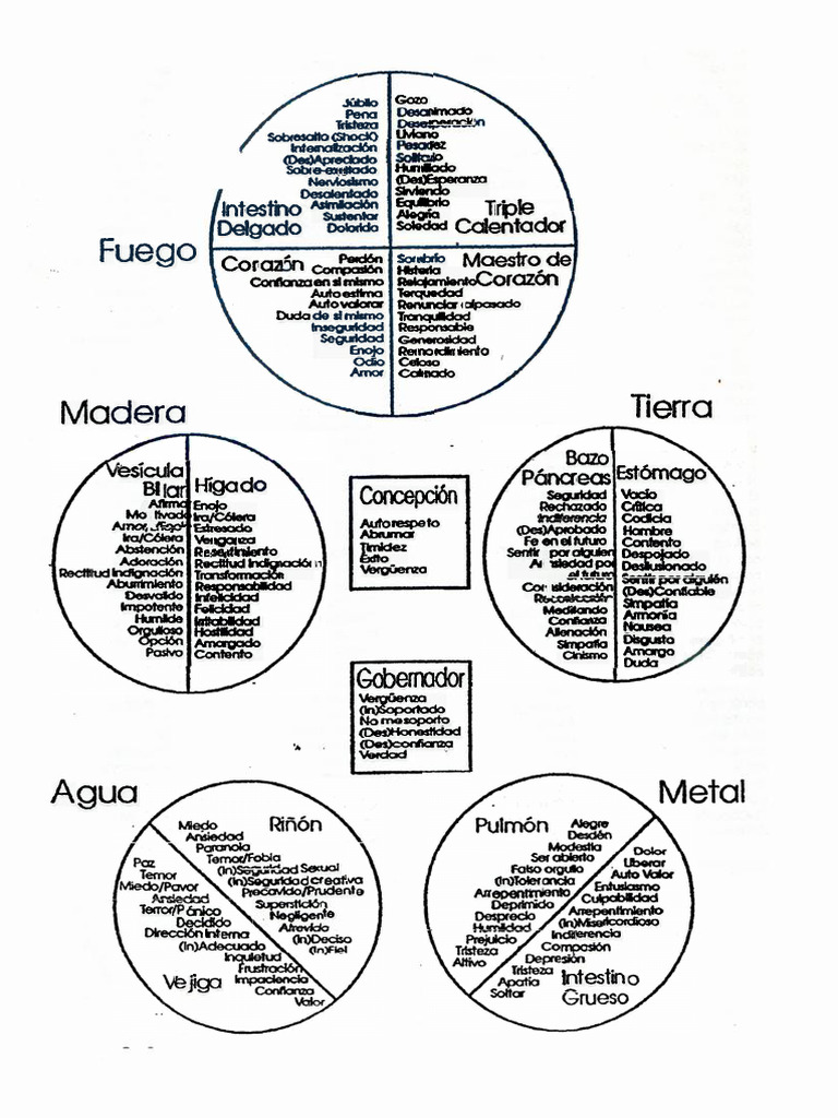 5 Elementos y Yin Yang | PDF