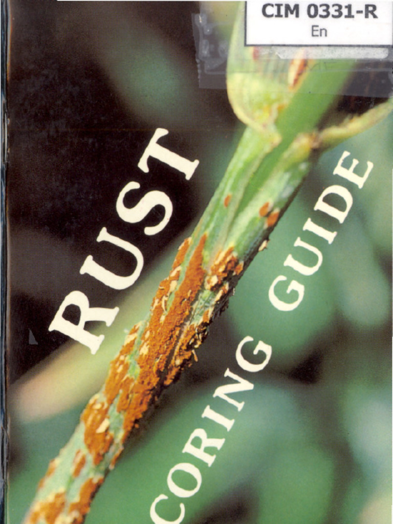 Rust Scoring Guide | PDF