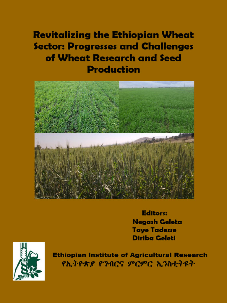 Revitalizing Wheat Breeding and Seed Production Final | PDF