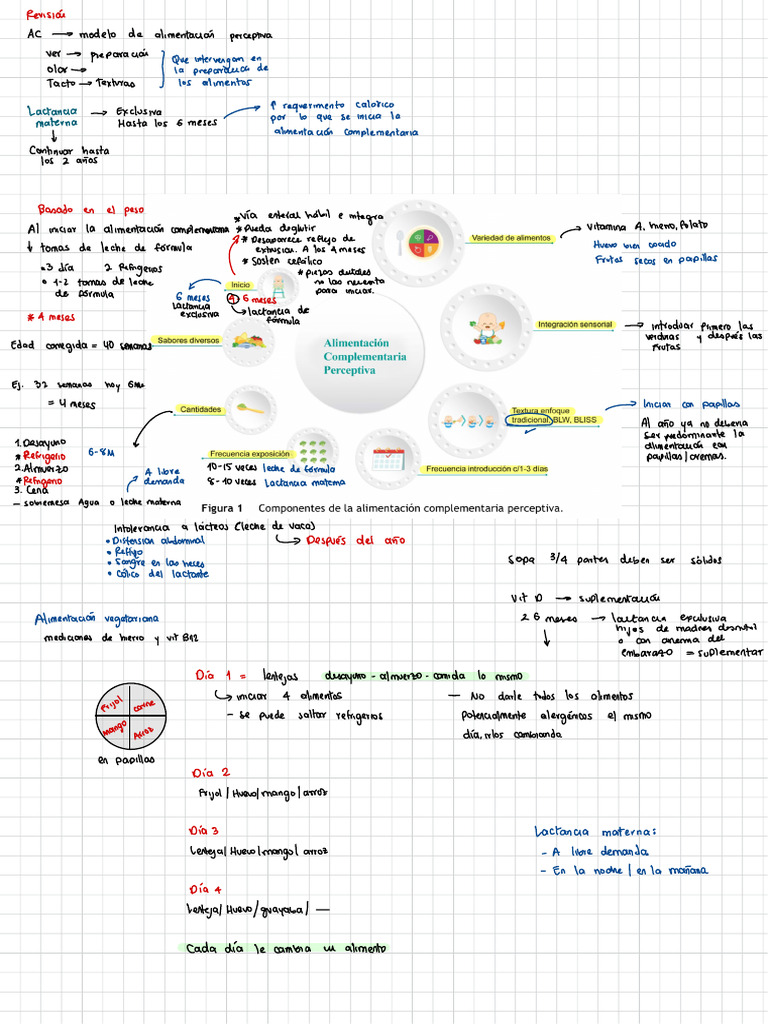 Alimentación complementaria | PDF