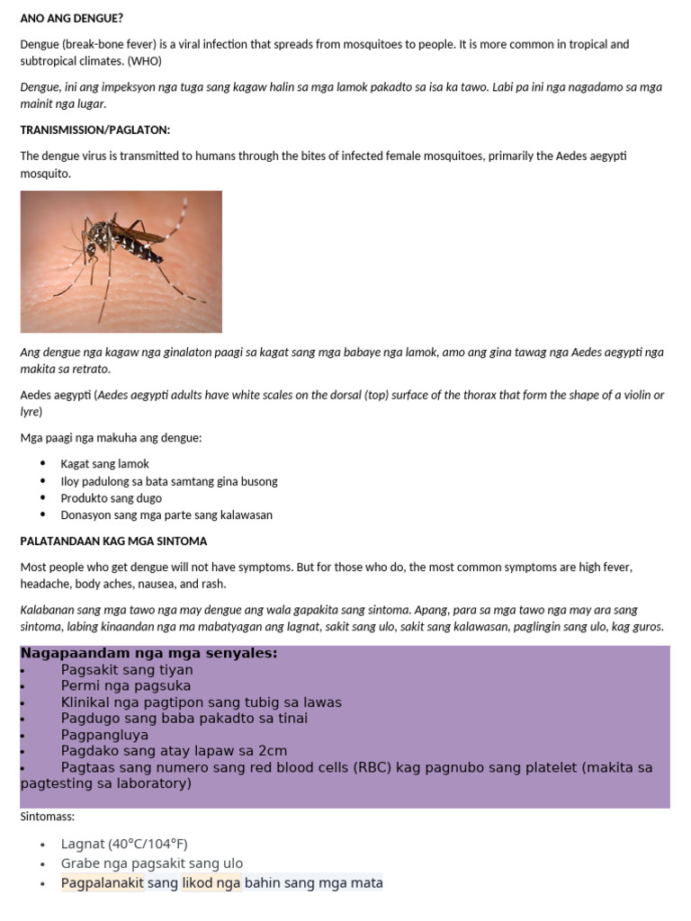 DENGUE | PDF