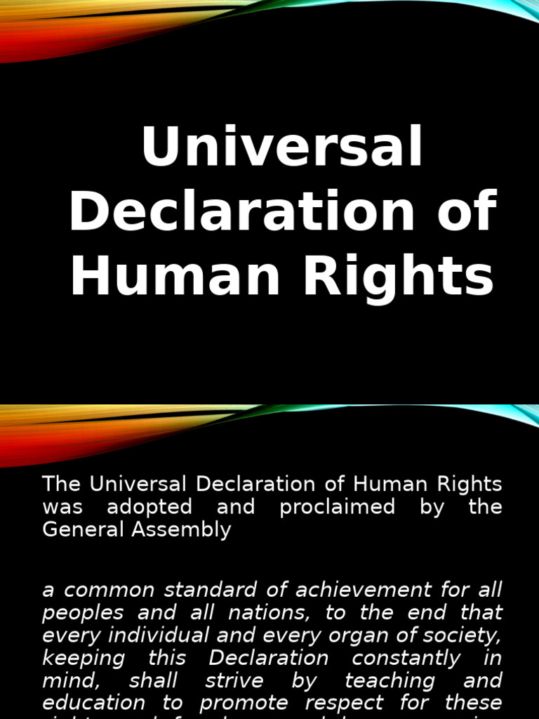 UDHR | PDF